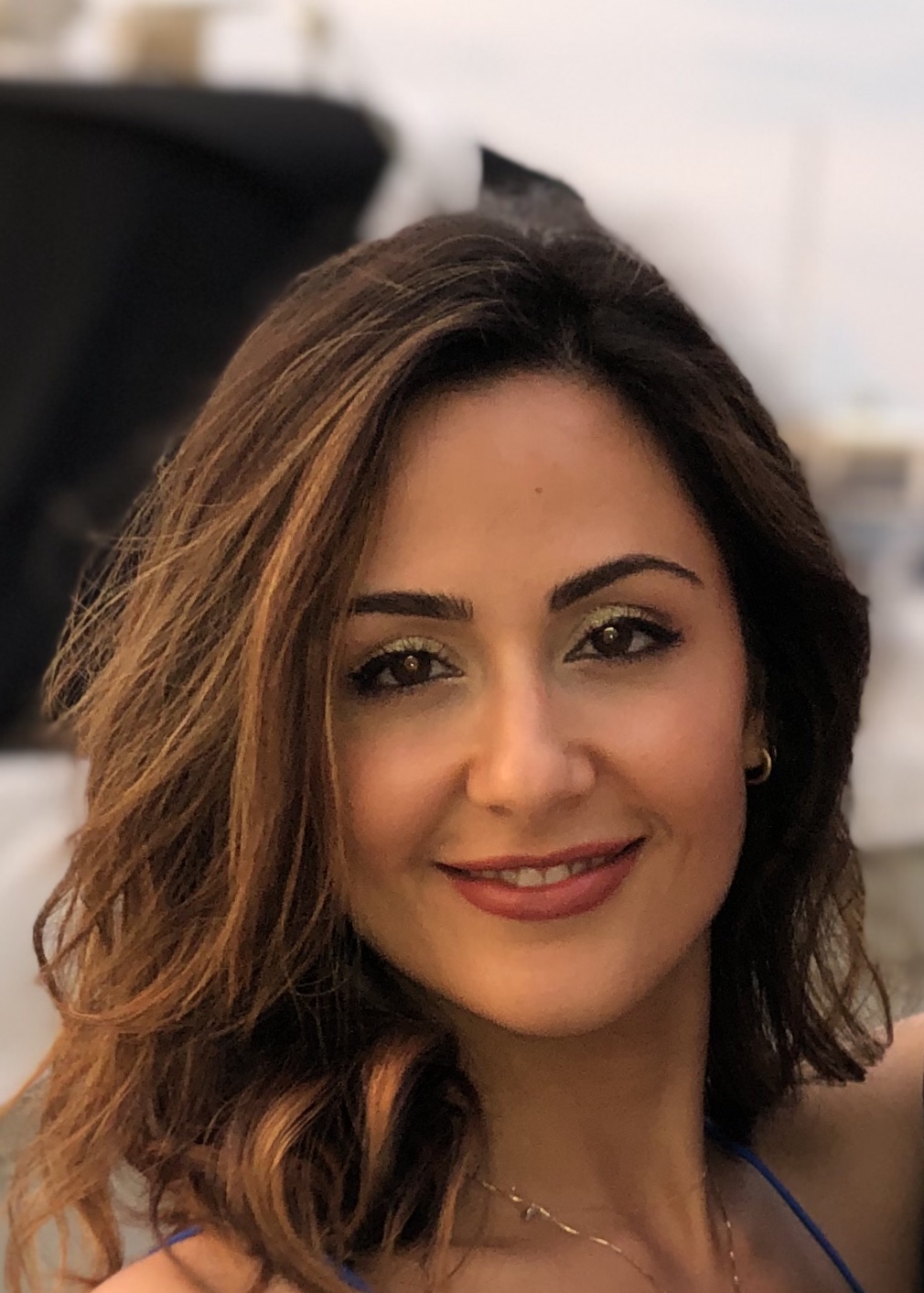 sepideh (Sepideh Seifi) - MaRS Innovation Challenges